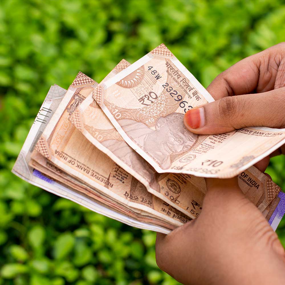 Tipping while on Tour | Explorica